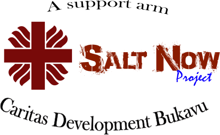 Salt Now – Kingdom Pursuits